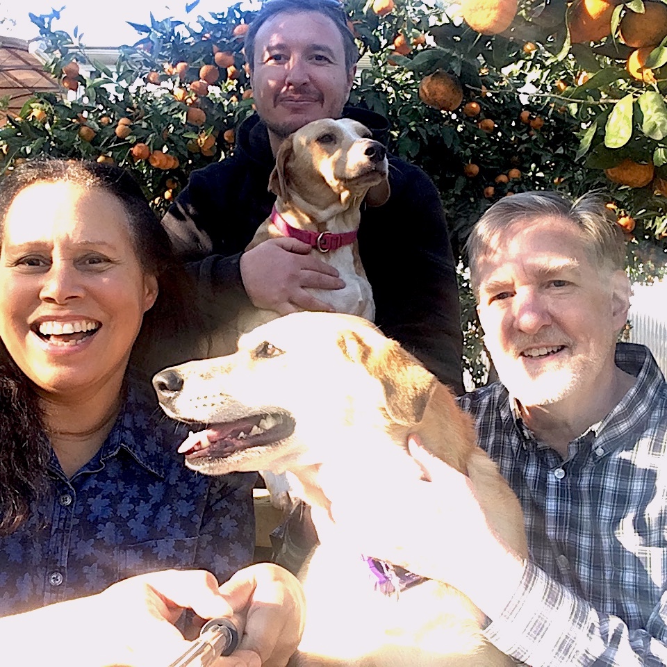 Who We Are - Republic of Georgia Dog Refuge